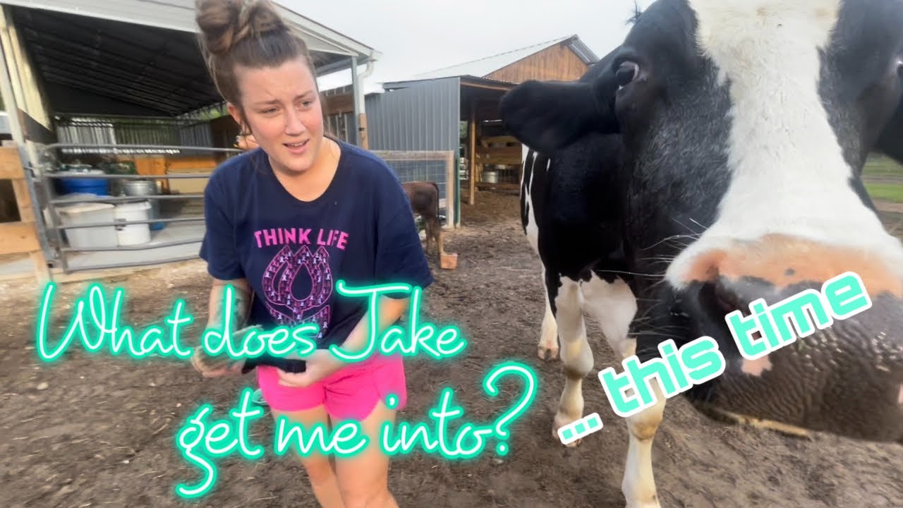 Moo does TRICKS!! - YouTube