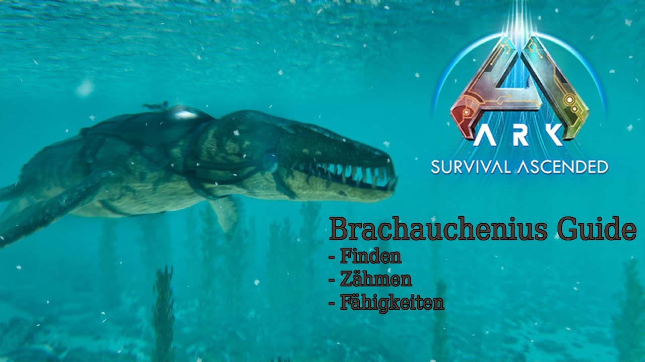 Brachauchenius Guide Deutsch [Additional Creatures: Wild ARK] - YouTube