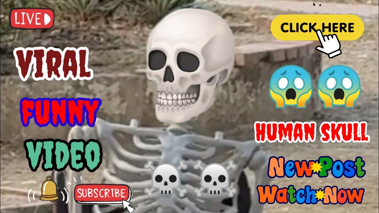 Human skull ☠️☠️☠️ most viral video - YouTube
