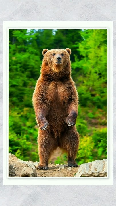 part 2 top 5 Unique facts 💯😍♥️ #shortvideos #viral #shorts #facts - YouTube