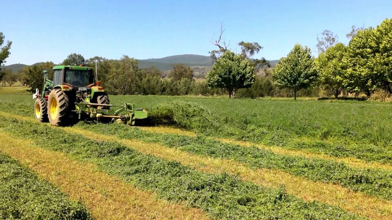 Cutting Heavy Lucerne Hay. - YouTube