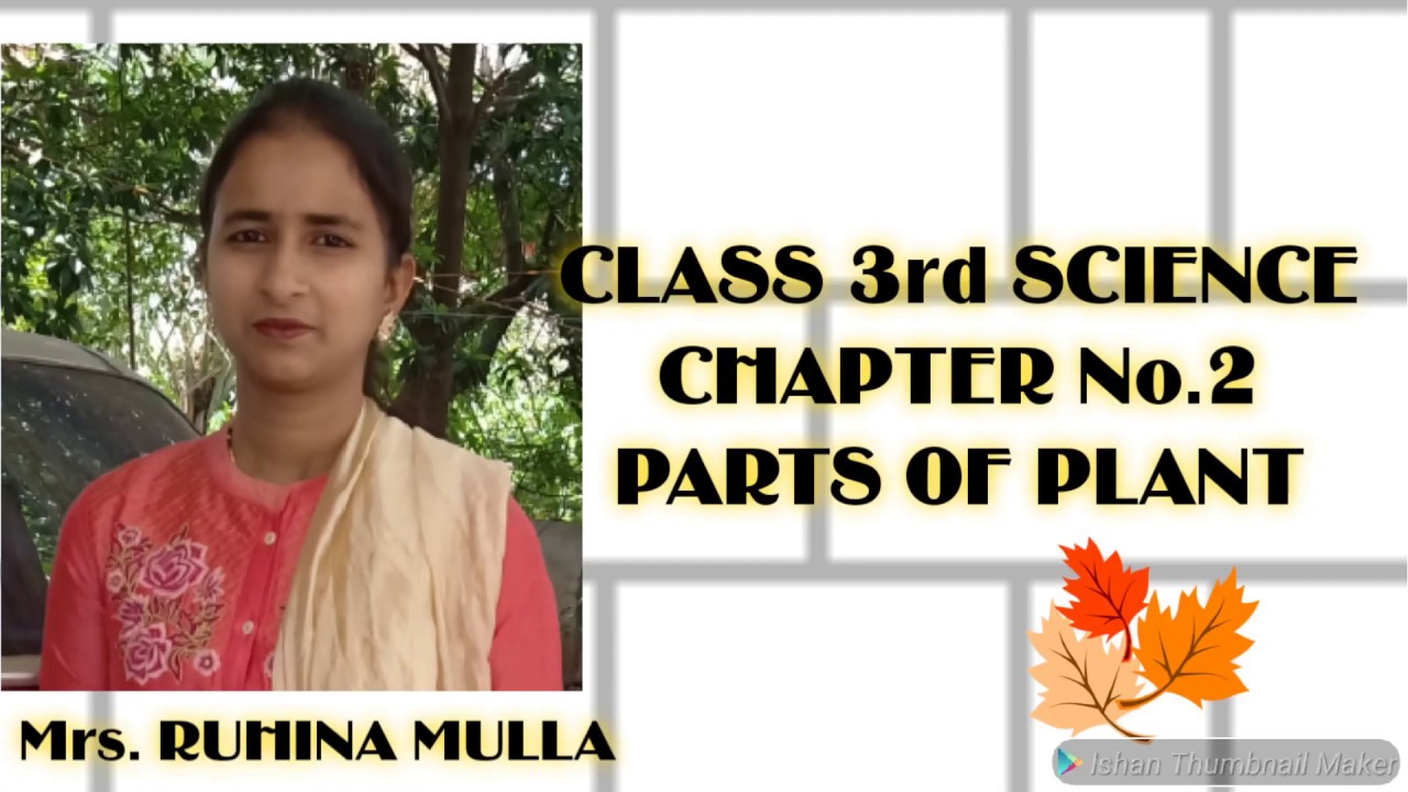 ## FUNCTIONS OF ROOTS ## - YouTube