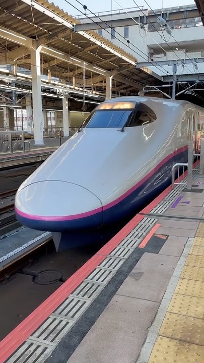 やまびこ211号 E2系 J71編成 2024/11/8 大宮駅 #e2 - YouTube