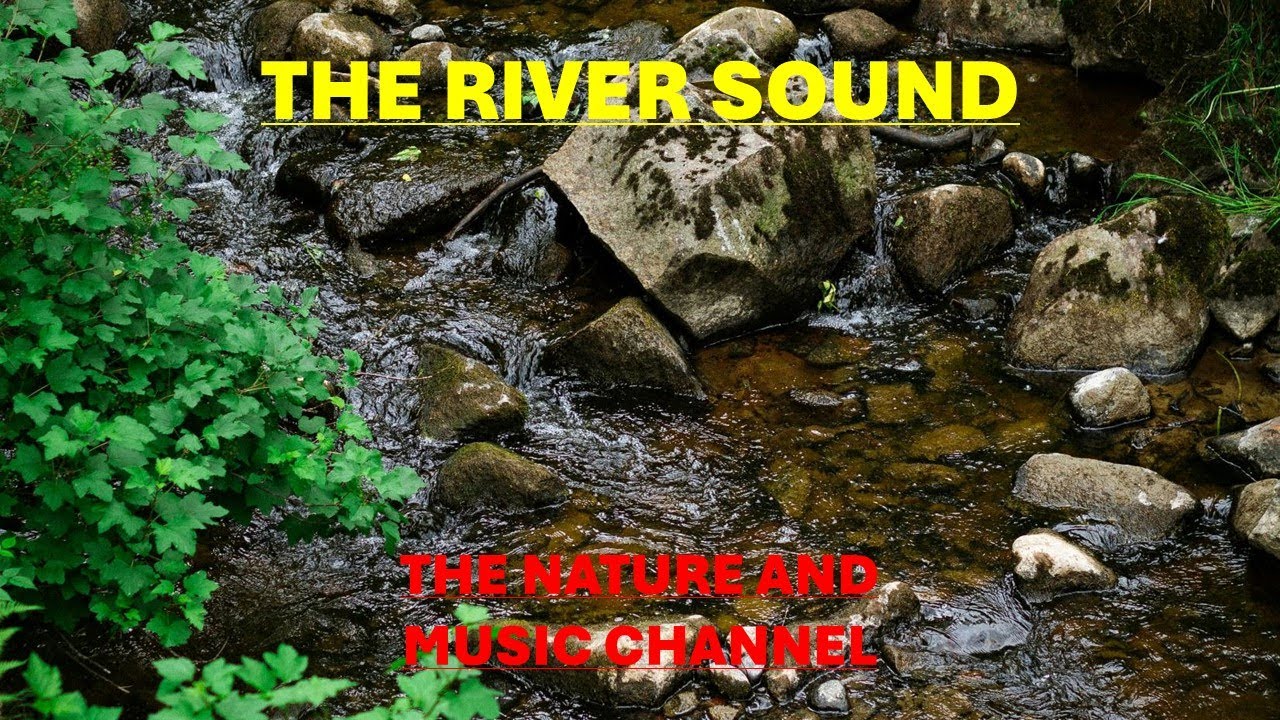 NATURE AND MUSIC - RIVER SOUND - MEDITATE, RELAXING - YouTube