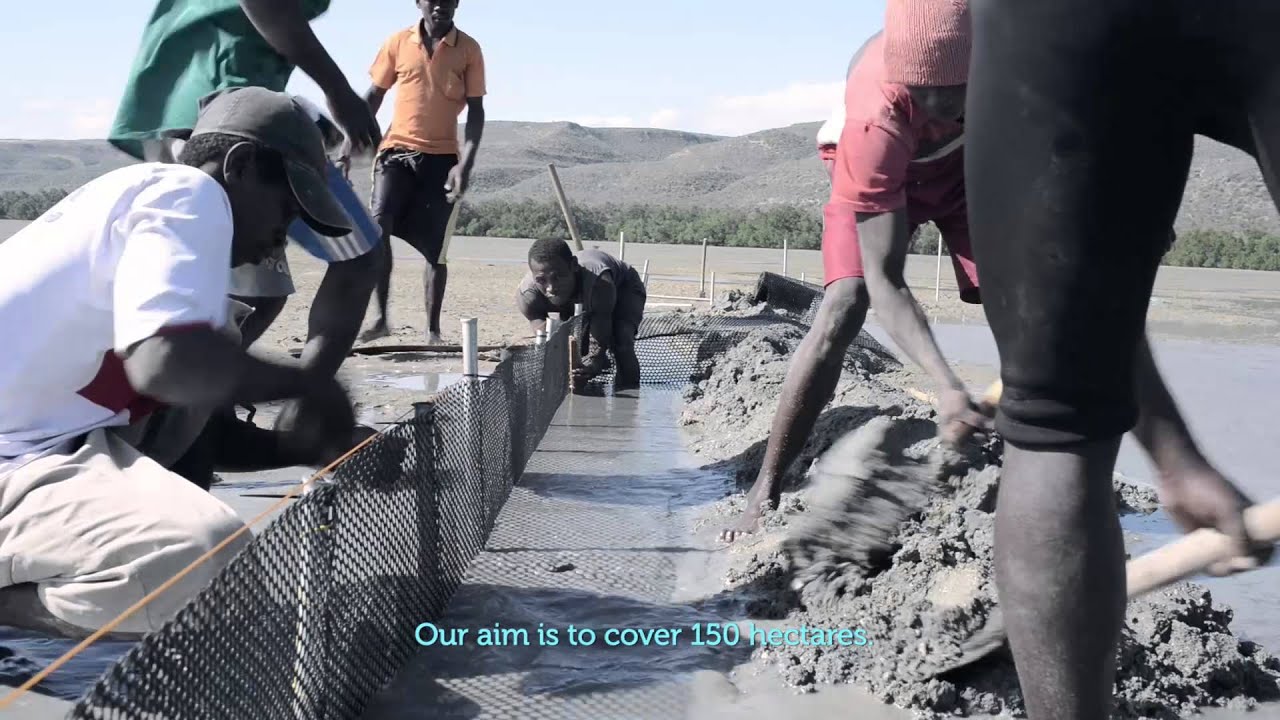 IOT (Madagascar), Small is Powerful - Long Version - YouTube