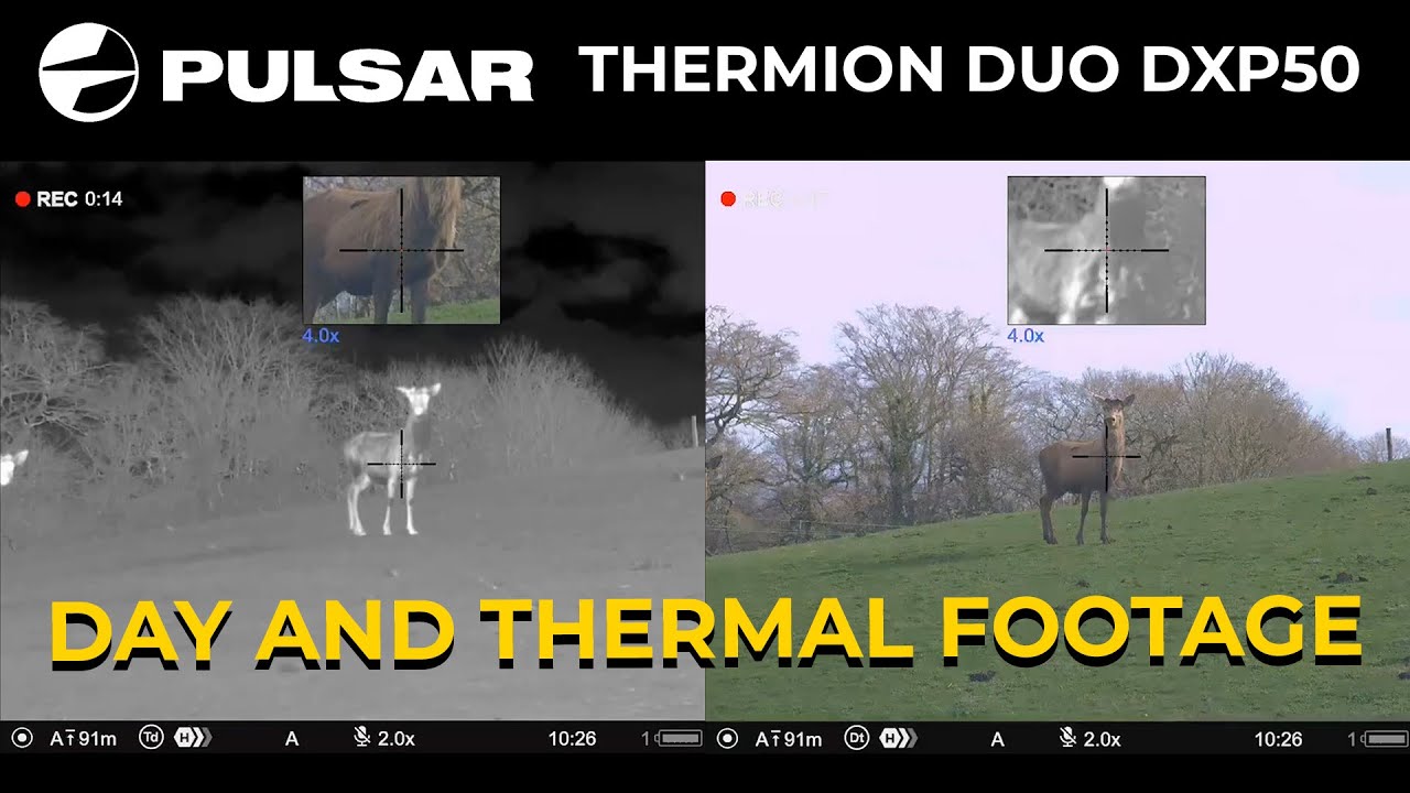 Day and Thermal Footage from the Pulsar Thermion DUO DXP50 - YouTube