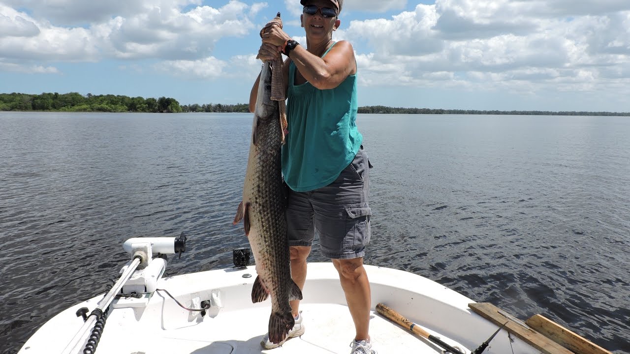 2017 Gar Spawn has begun --- Bowfishing Big Needlenose Gar - YouTube