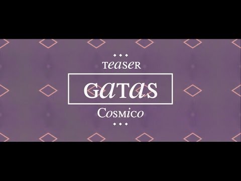 TEASER GATAS - CÓSMICO