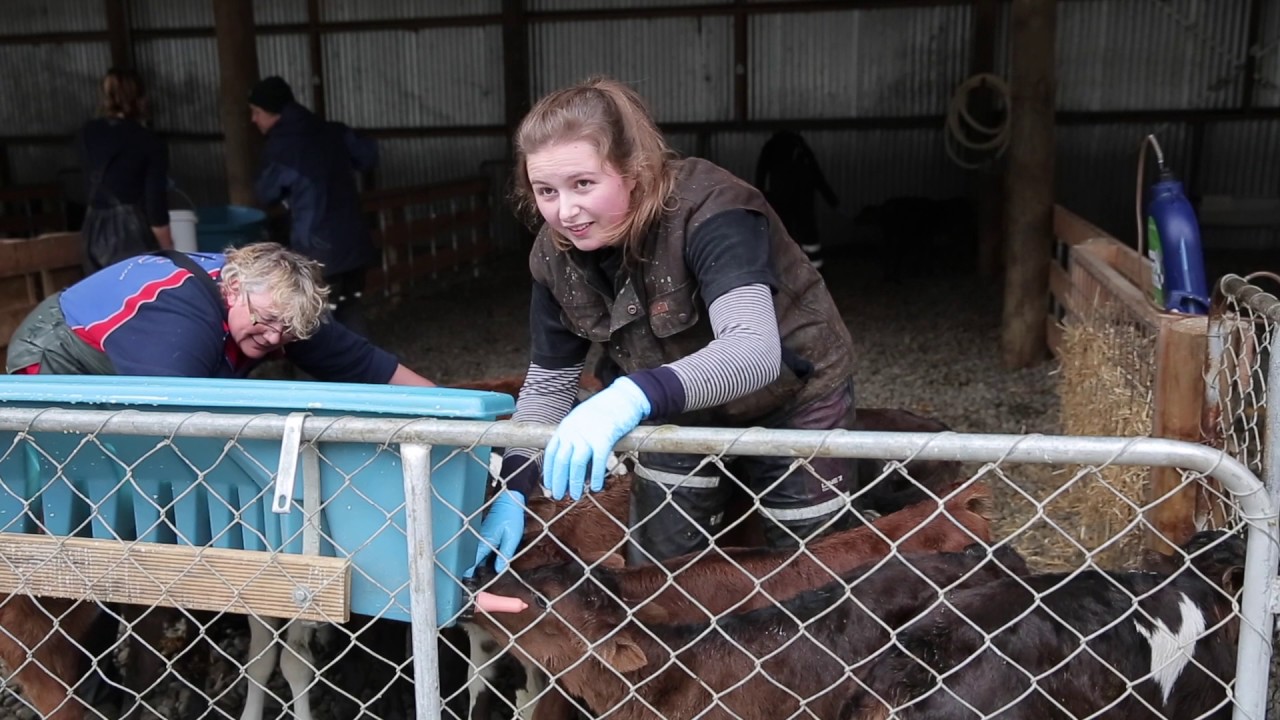 Part 11 - Meet the Rakaia team - YouTube