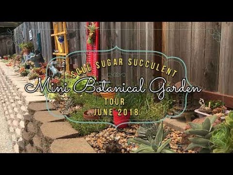 TOUR OF MY MINI BOTANICAL GARDEN - YouTube