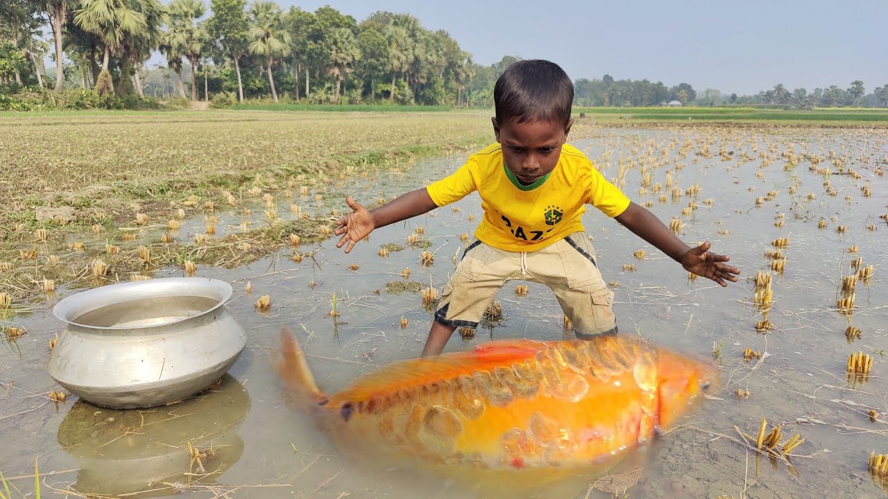 Amazing fishing video/traditional Little boy catching fish by hand in ...