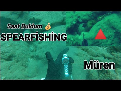 Dalışta Saat buldum ! Karetta Müren Balık Ne Ararsan Var Bu Avımda 4k Spearfishing