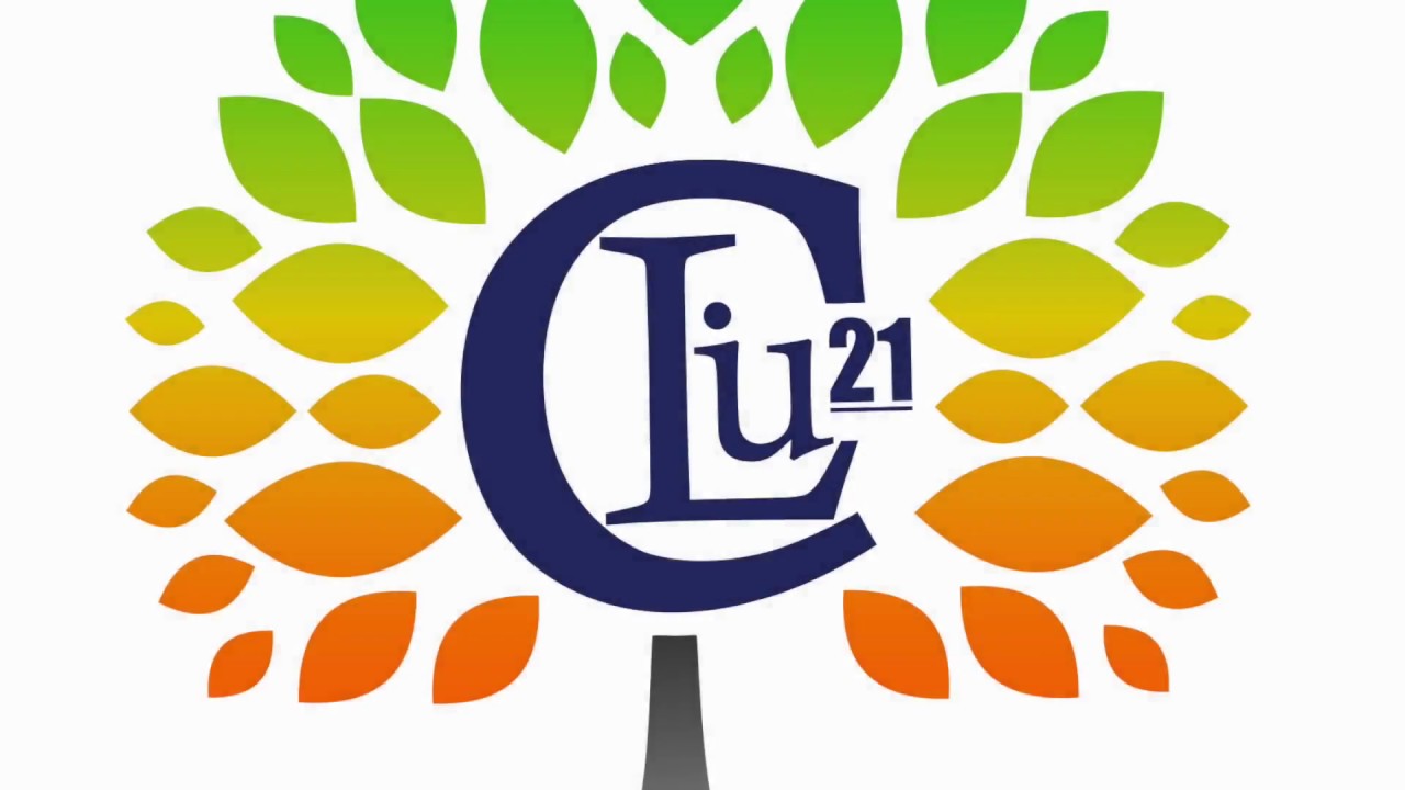 Work Based Learning Highlight|IU 21 - YouTube