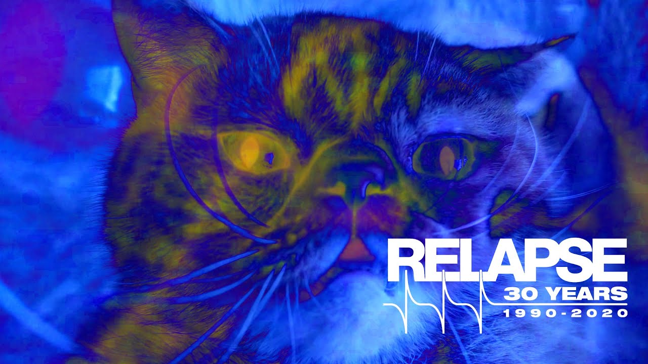 PIG DESTROYER - The Cavalry (Official Music Video) - YouTube