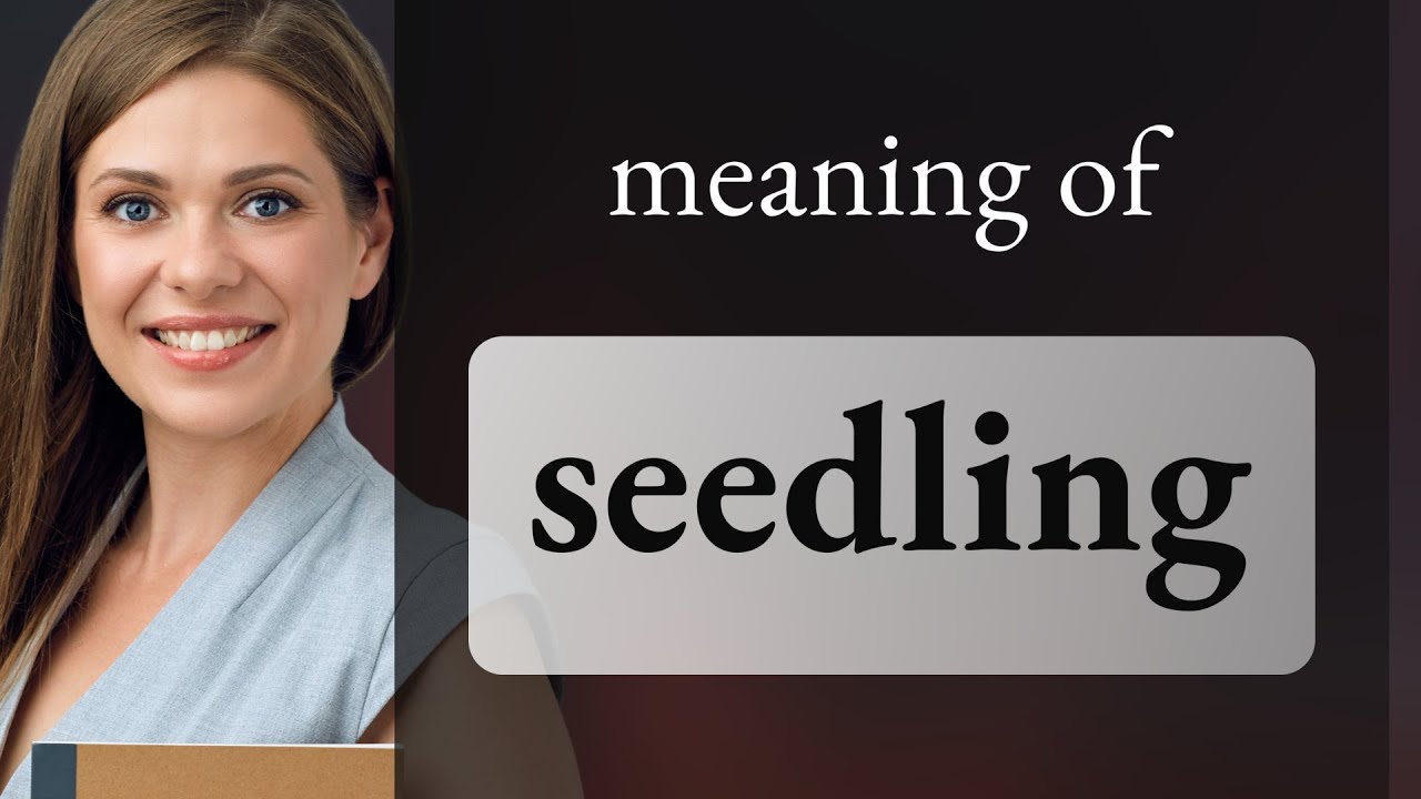 Seedling • definition of SEEDLING - YouTube