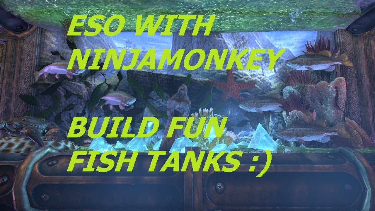 HOW2SERIES: BUILD A FISH TANK - YouTube