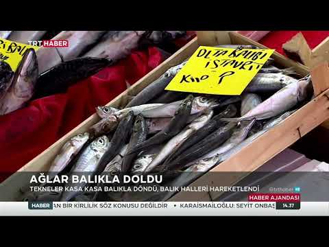 Ağlara takılan balıklar