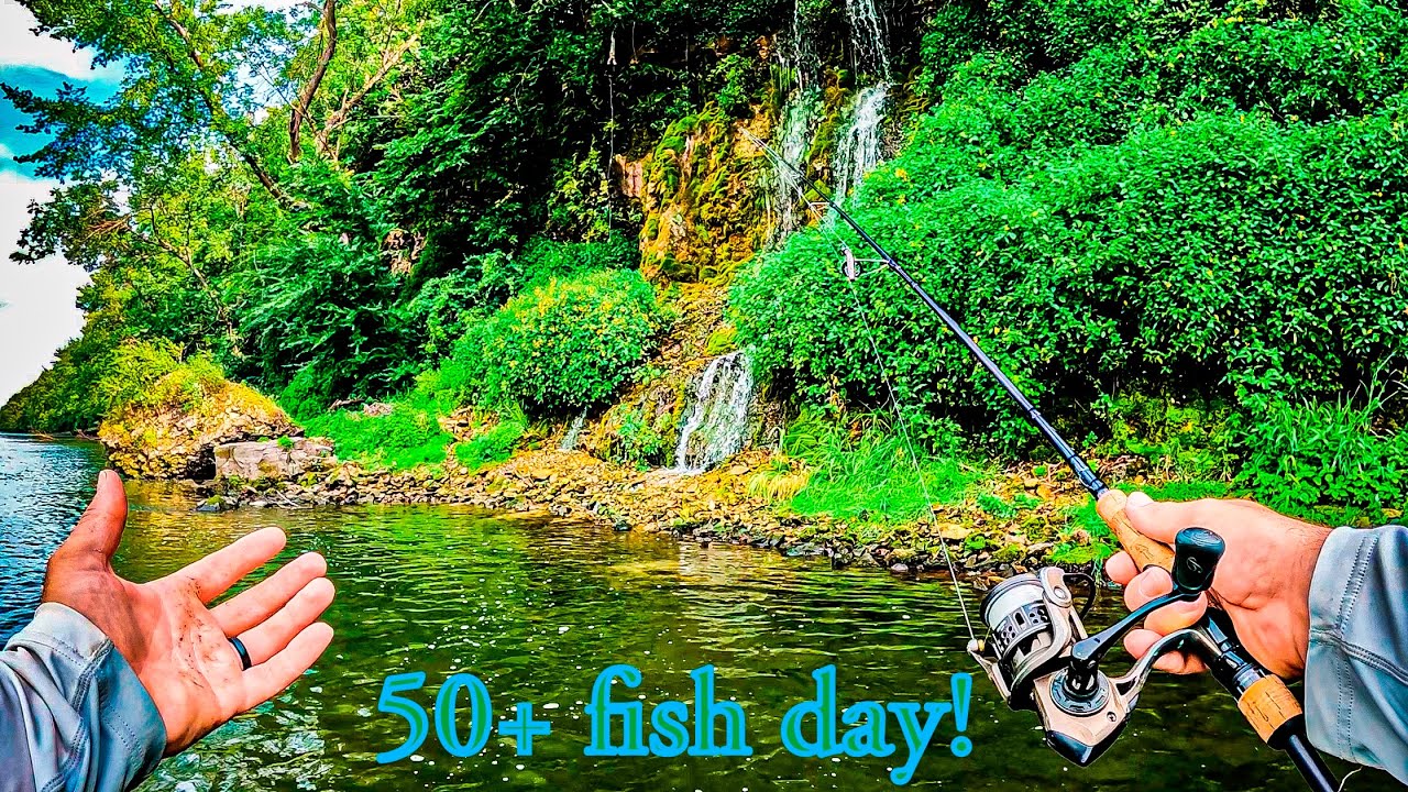 Epic late-summer river wade! | Cannon River, MN (nonstop fish all day ...