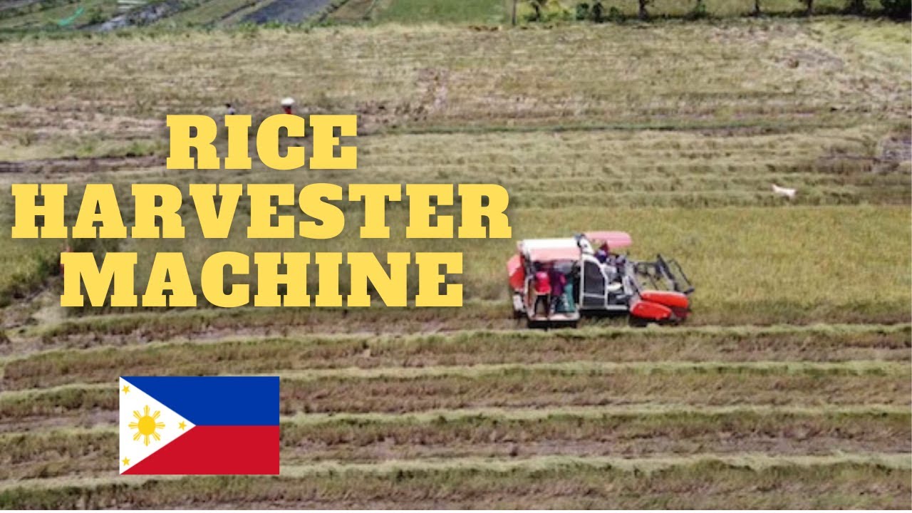 AMAZING RICE HARVESTER MACHINE /EASY FOR FARMERS LIFE IN THE ...