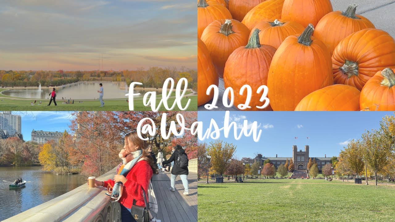 video diary: sophomore fall at WashU - YouTube