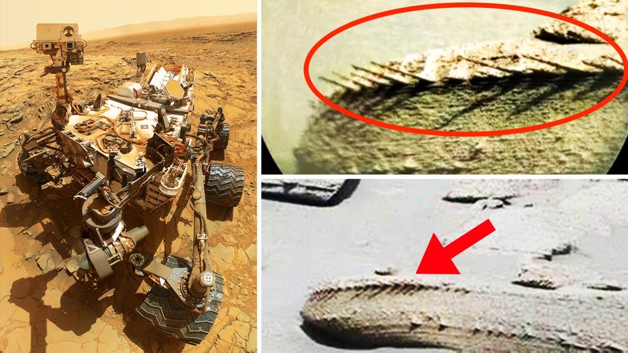 Mars Rover Photos Of Unknown Creatures