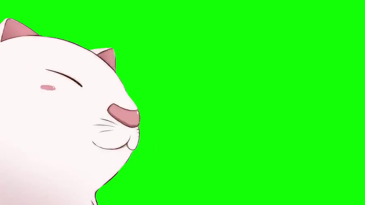 anime cat vibing green screen - YouTube