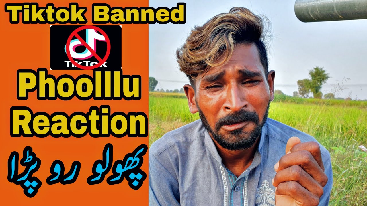 Tiktok Banned || Phoolllu Reaction || پھولو رو پڑا - YouTube