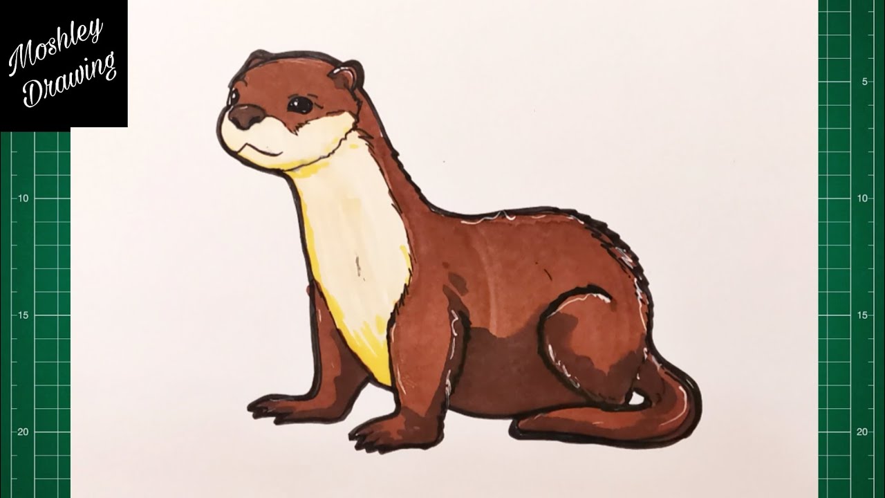 How to Draw an Otter - YouTube