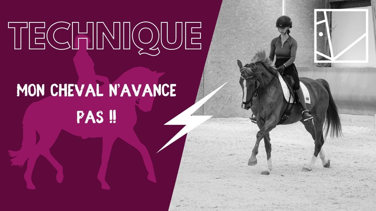 MON CHEVAL N'AVANCE PAS ! - YouTube