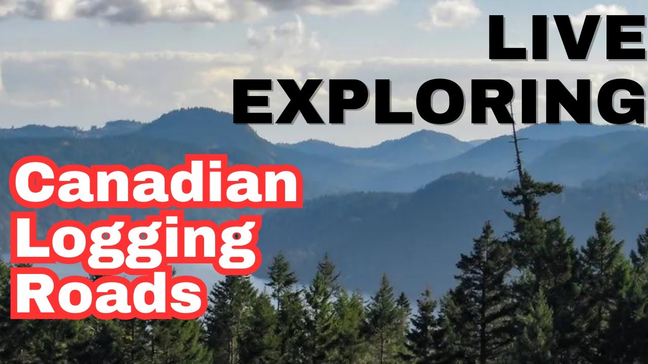 Exploring LIVE Canadian Logging roads, Vancouver Island - YouTube