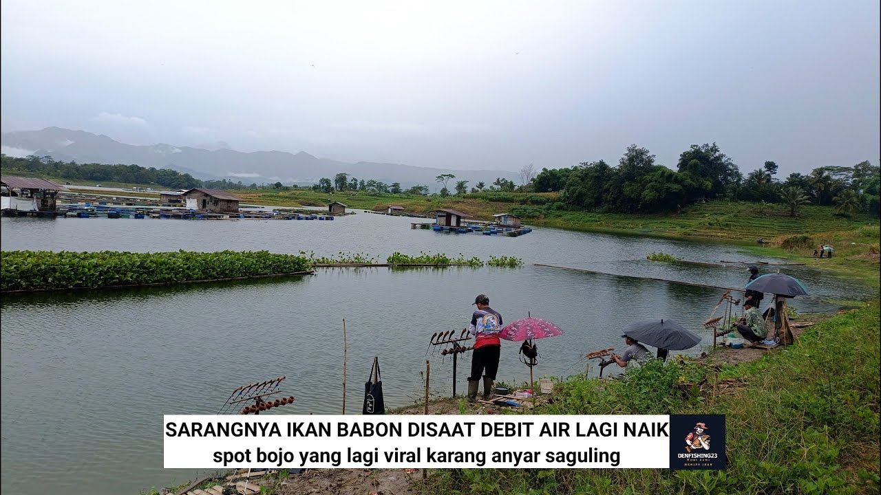spot yang lagi viral kerana ikan badot nya - YouTube