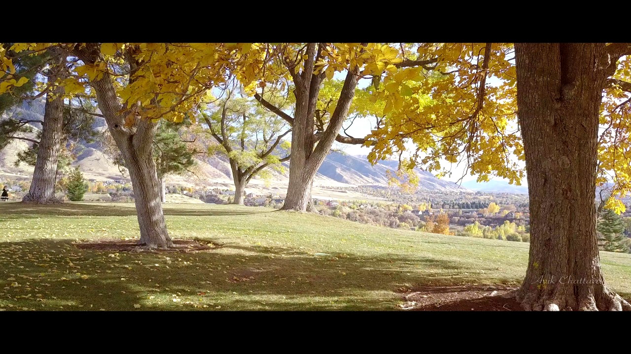 Fall Colors at Utah State University - YouTube