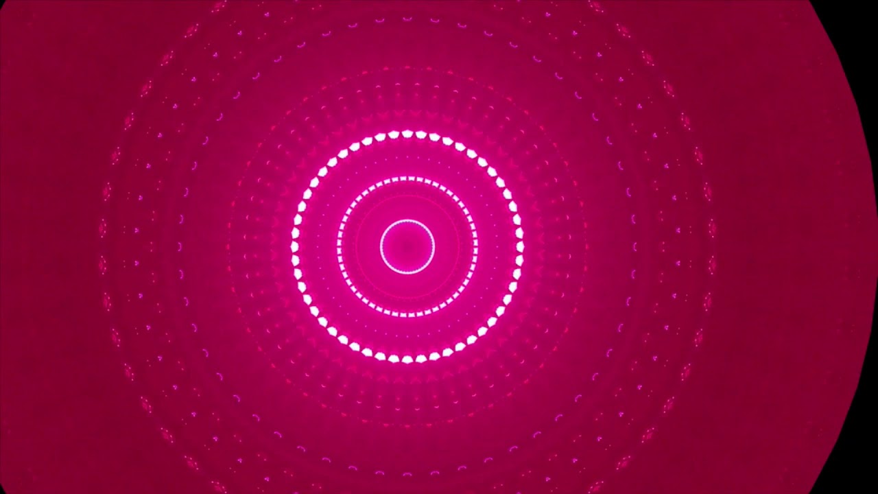 Flower Visualization - YouTube