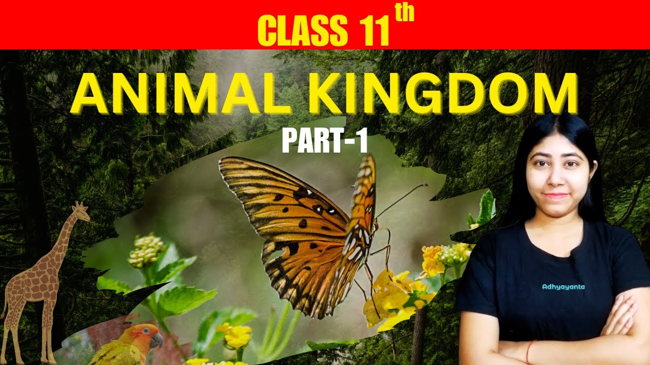 Animal Kingdom | Part 1 | Biology | Class 11 | NCERT | Adhyayanta - YouTube