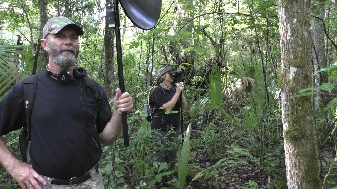 WATCH an Amazing Display of BIGFOOT ACTIVITY. - YouTube