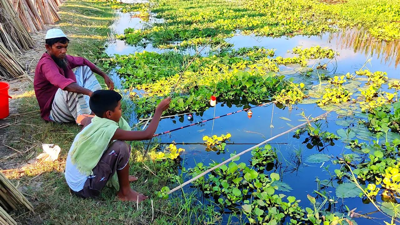 Fishing video - Professional fish hunter catching fish by hook (Part-03 ...