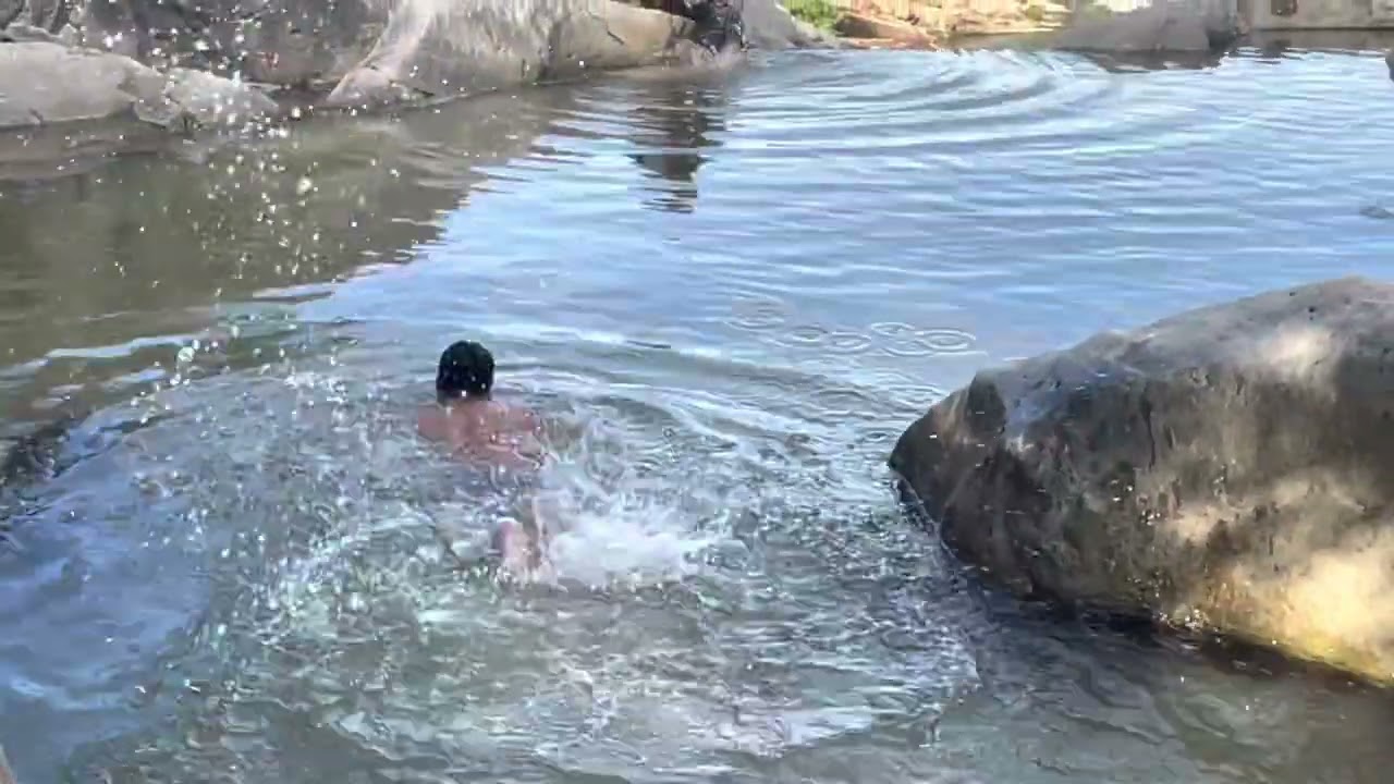 El charco del toro - YouTube