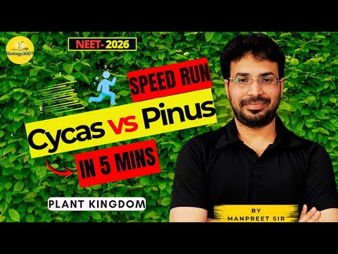 Still Confused? Cycas vs Pinus in 5 Minutes | NEET Biology Quick ...