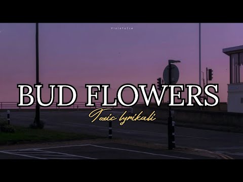 BUD FLOWERS _OFFICIAL LYRICS VIDEO_TOXIC LYRIKALI - YouTube Music