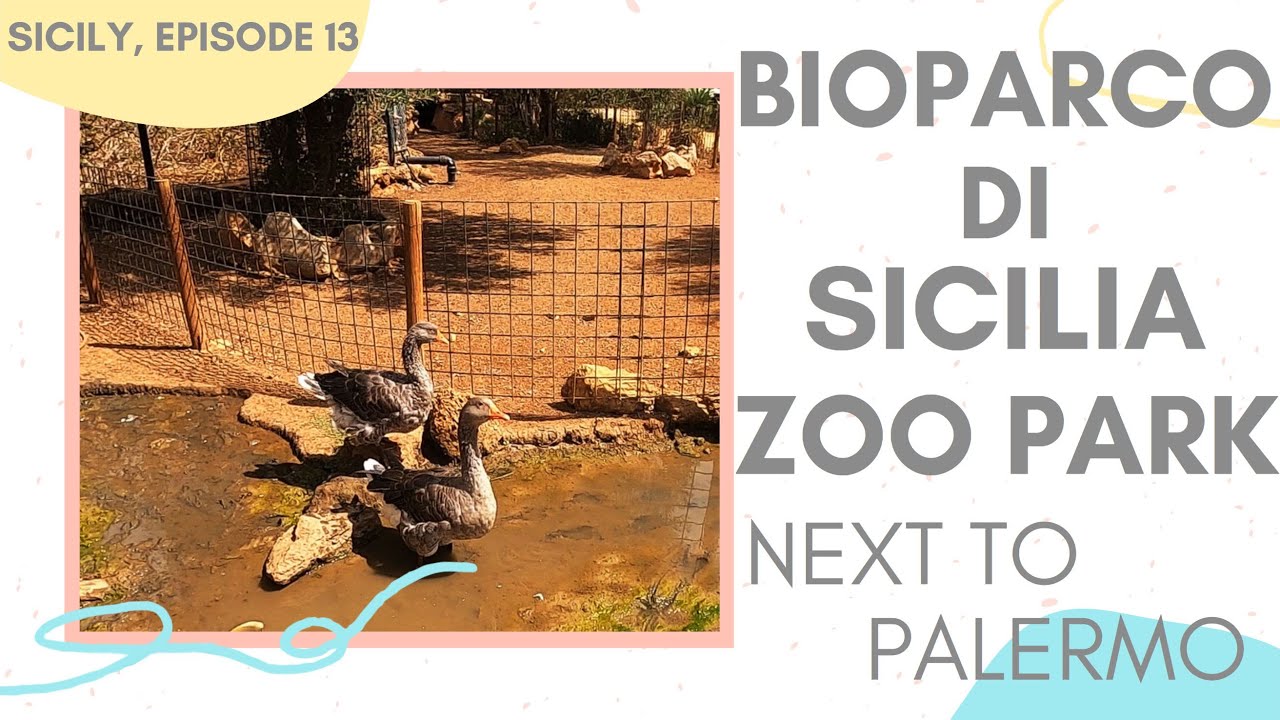Bioparco di Sicilia. A cute zoo next to Palermo. - YouTube