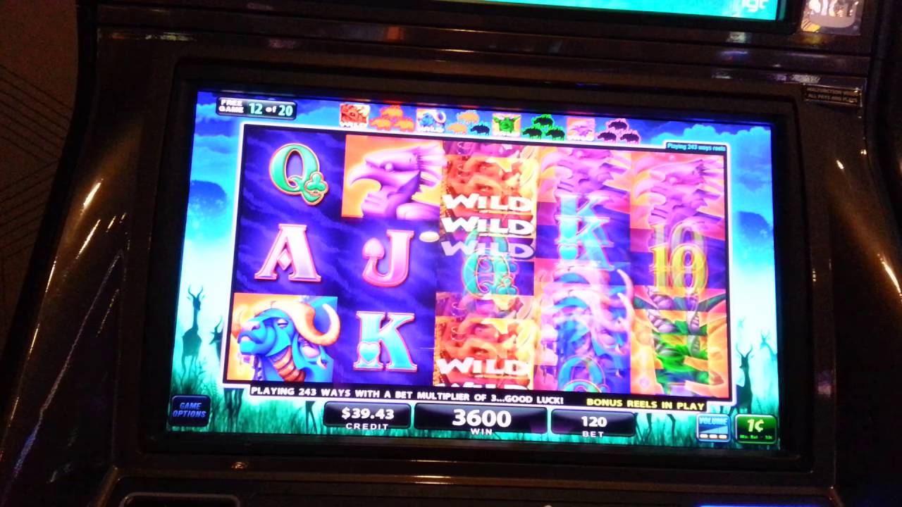 Red Rhino slot machine BIG WIN! - YouTube