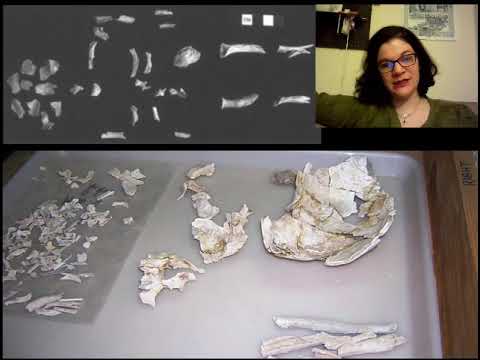 10 Obstetrics & Gynecology