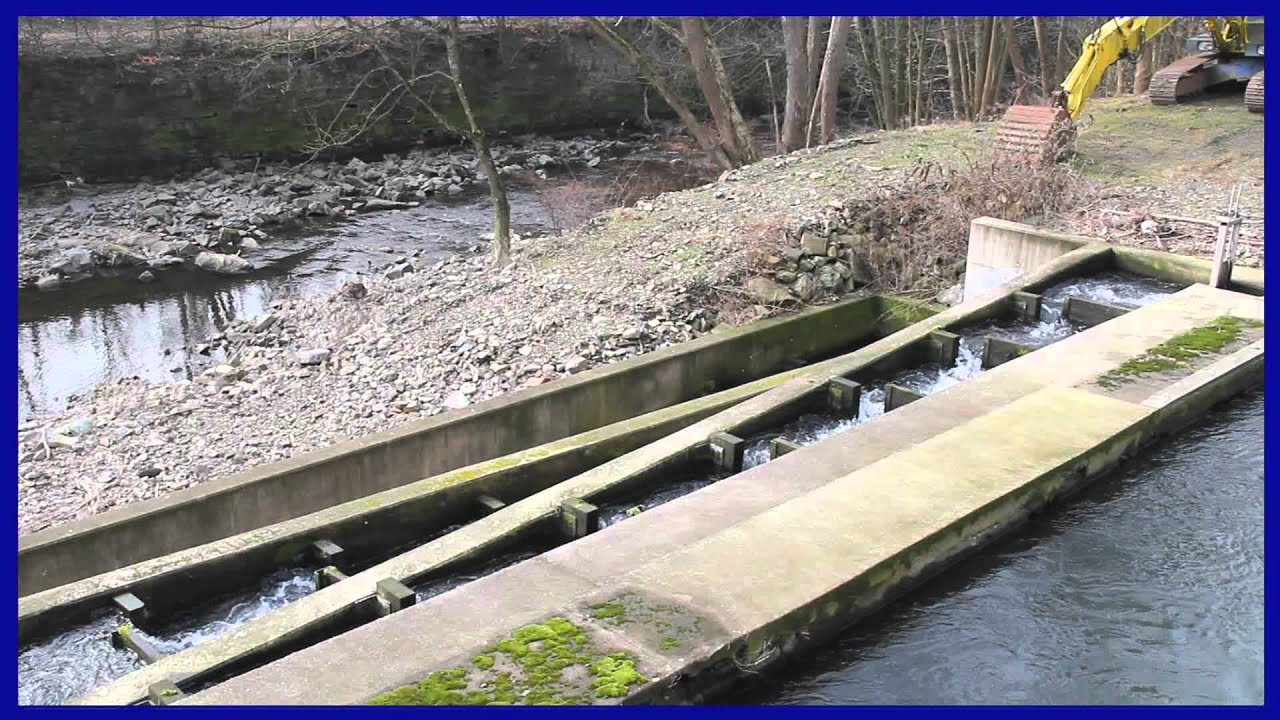 Die Volme Ein Fluss im Sauerland - YouTube