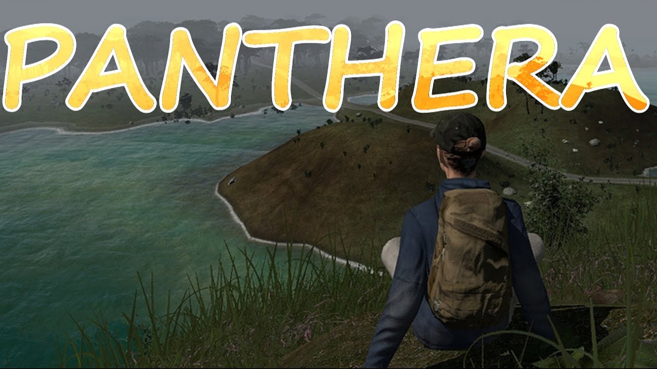 Dayz Panthera Kill comp - YouTube