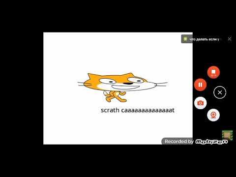 Scratch cats - YouTube