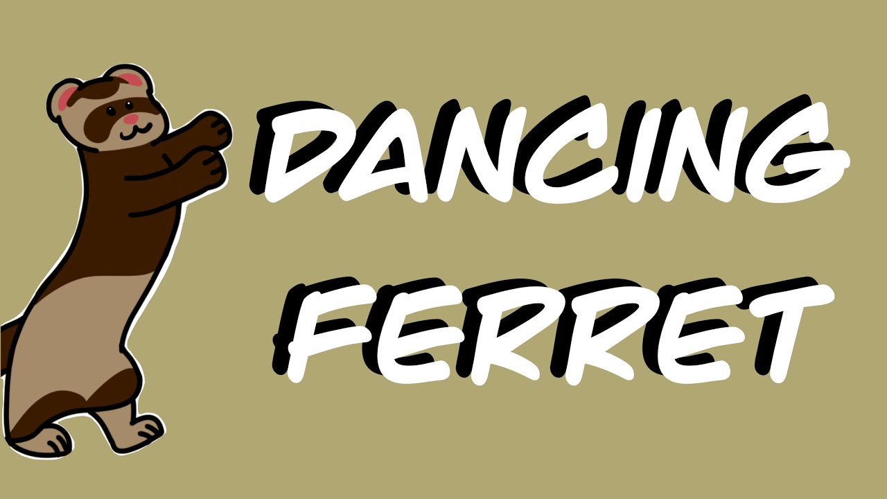 Dancing ferret (buttercup by Jack Stauber) - YouTube