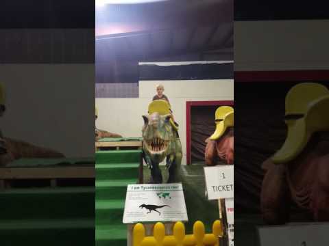Fg teevers are ridding a dinosor - YouTube