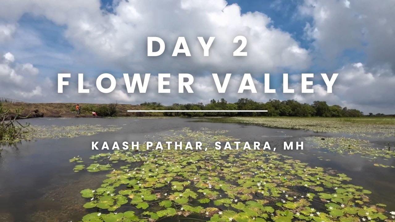 Exploring Kaash Pathar (Flower Valley), Satara | Day 2 Group Ride on ...