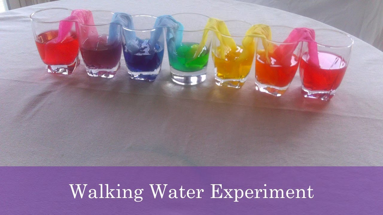 Walking Water: Science Experiment for Kids - YouTube