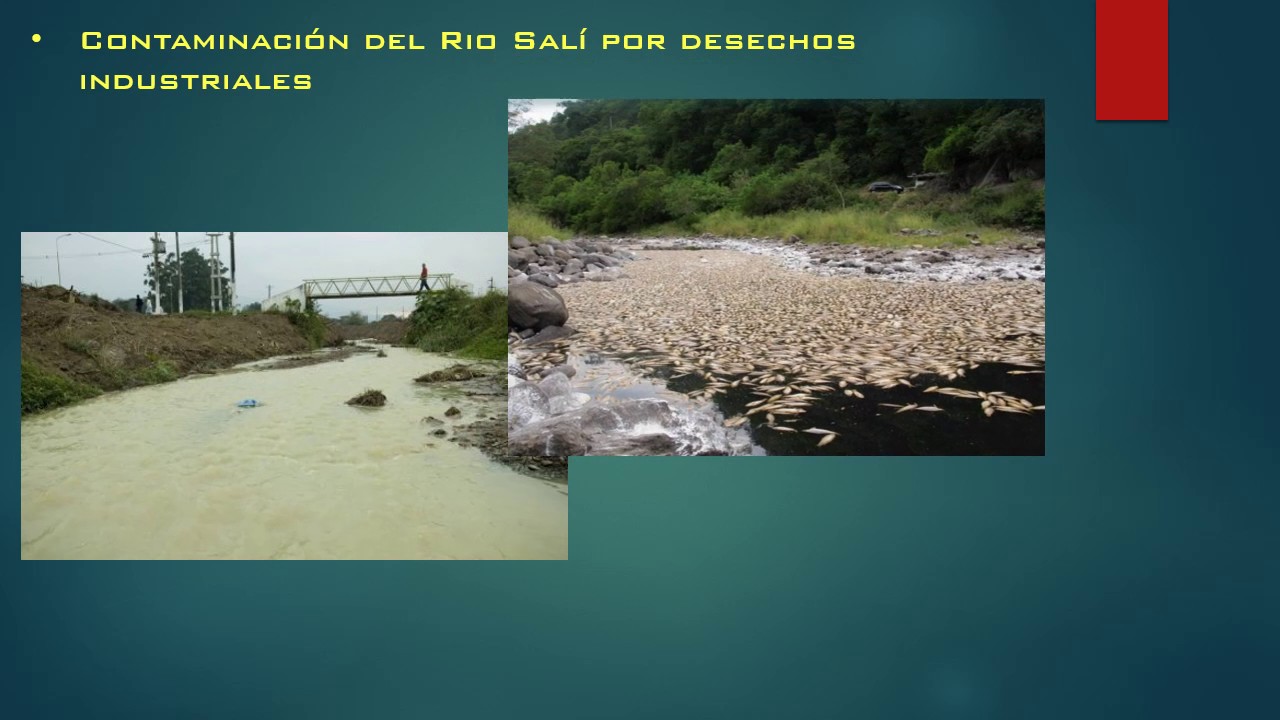 La Banda del Rio Sali 1 - YouTube